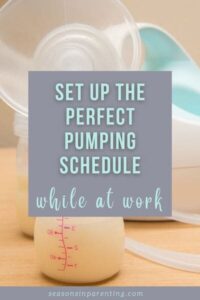 How to Create the Perfect Pumping Schedule for Working Moms in 2025 ...
