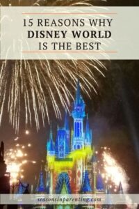 15 Reasons Why Disney World is the Best - Seasons in Parenting