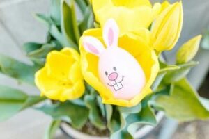 50 Fun & Creative Backyard Easter Egg Hunt Ideas - Seasons in Parenting
